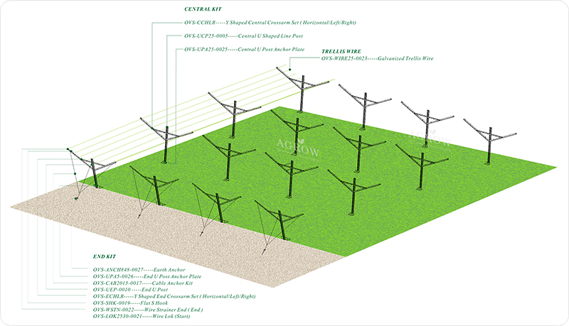 Quality Vineyard Open Gable Trellis System Produttore e fornitore dalla ...